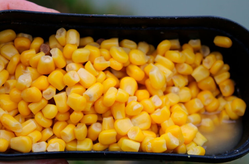 How to pick the right bait colour | Angling Times