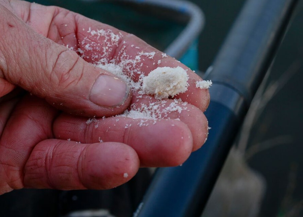 5 Top tips for shallow canals | Angling Times