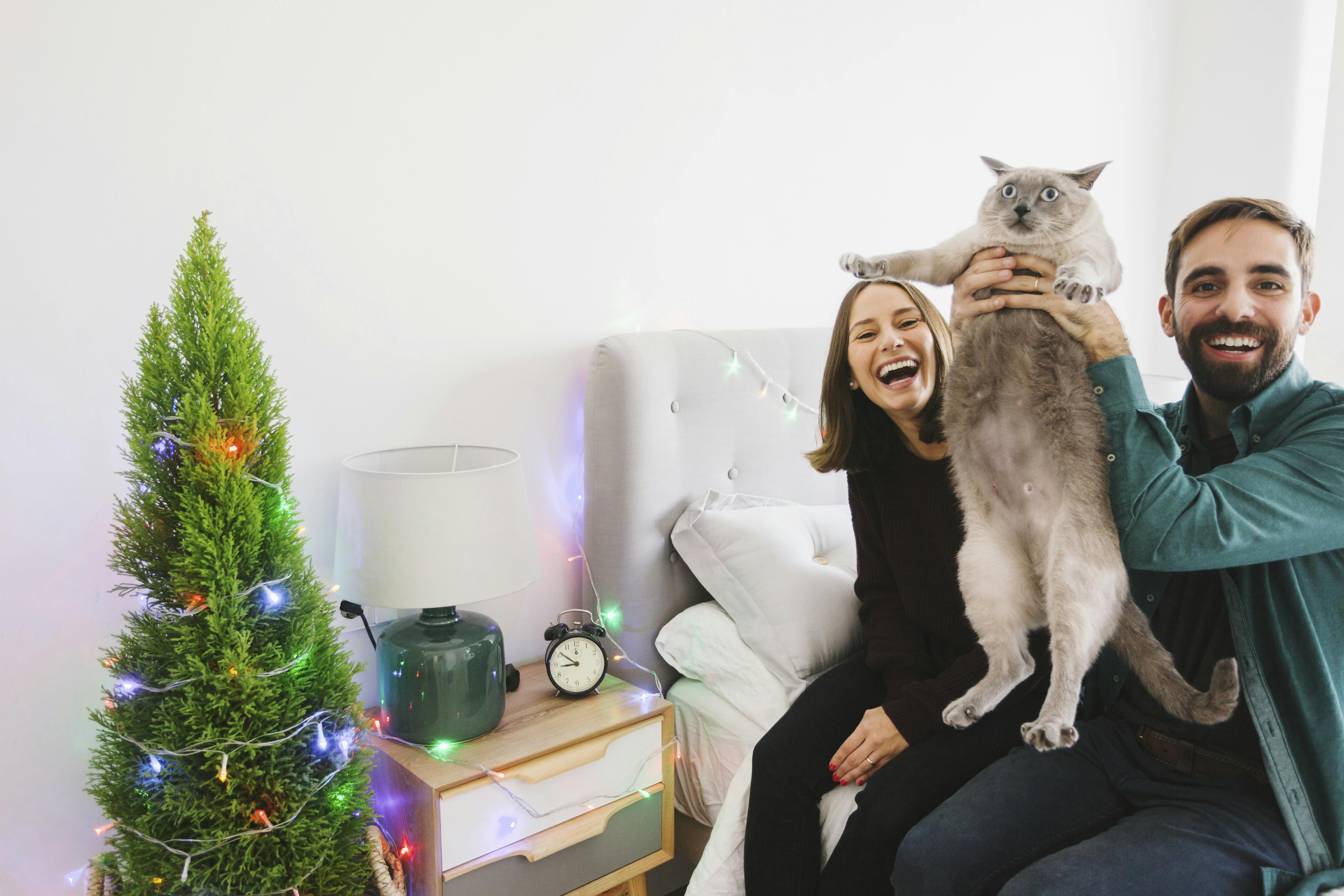 The best gifts for cat lovers | Life | Yours