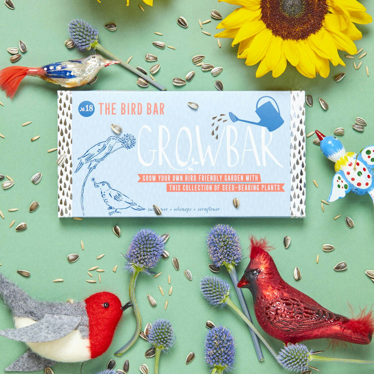 Top 12 bird watching gifts for the avid avian enthusiast | Leisure | Yours