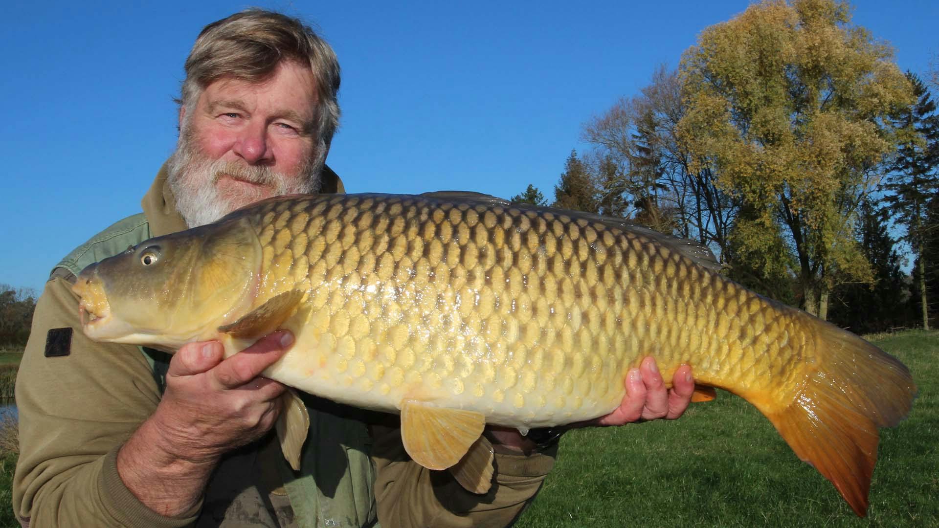 des taylor.jpg?format=jpg&quality=80&width=960&height=540&ratio=16-9 ...