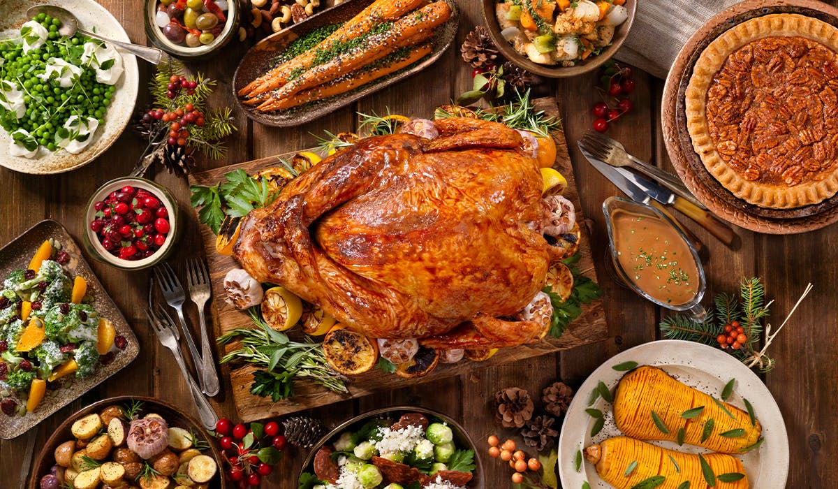 The history of the turkey