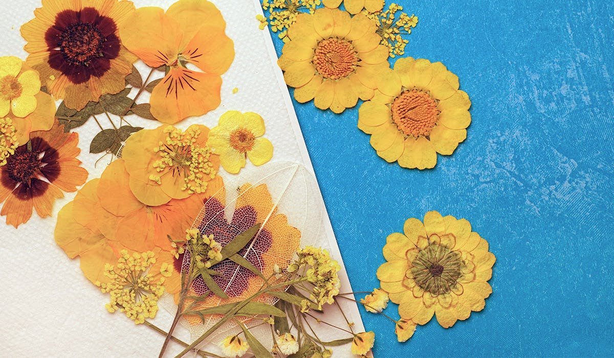 How to preserve flowers