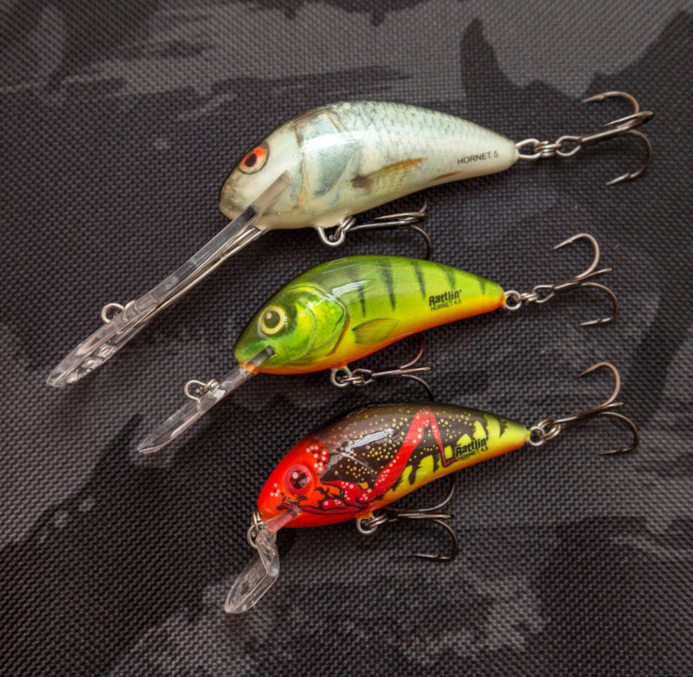 How to catch big river perch on crankbaits | Angling Times