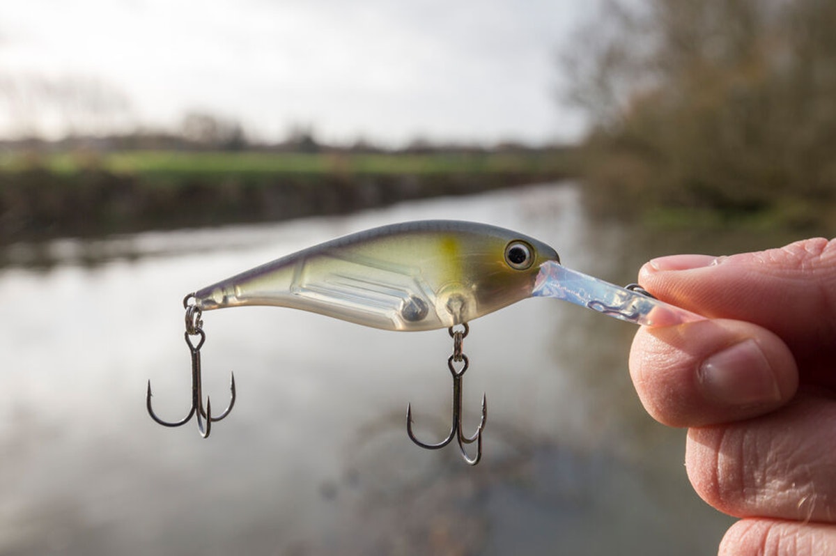 How to catch big river perch on crankbaits | Angling Times