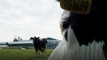 Cow Review | Movie - Empire