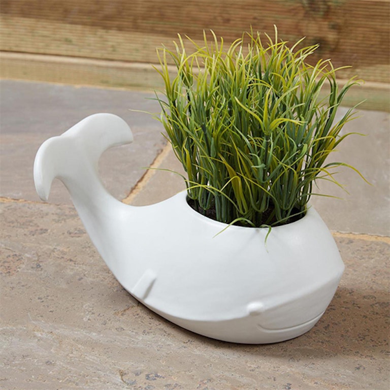 The best Morrisons plants and homeware to transform your space