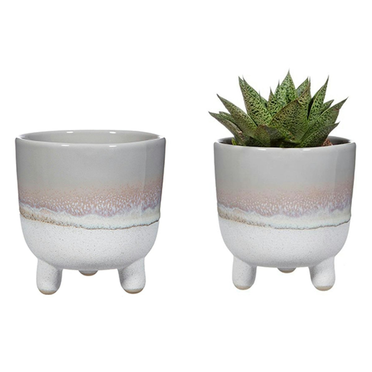 The best Morrisons plants and homeware to transform your space