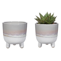 The best Morrisons plants and homeware to transform your space