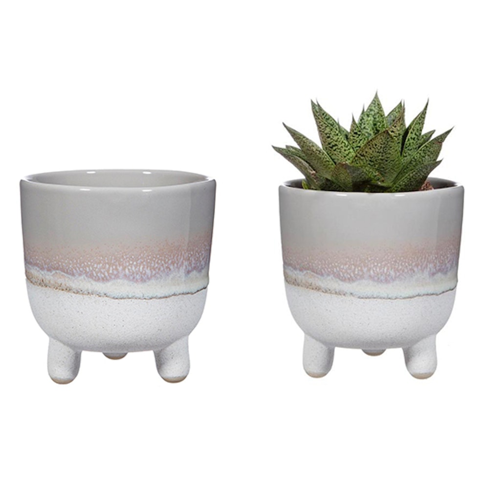 The best Morrisons plants and homeware to transform your space