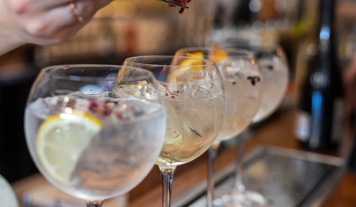 Best supermarket gin under £25