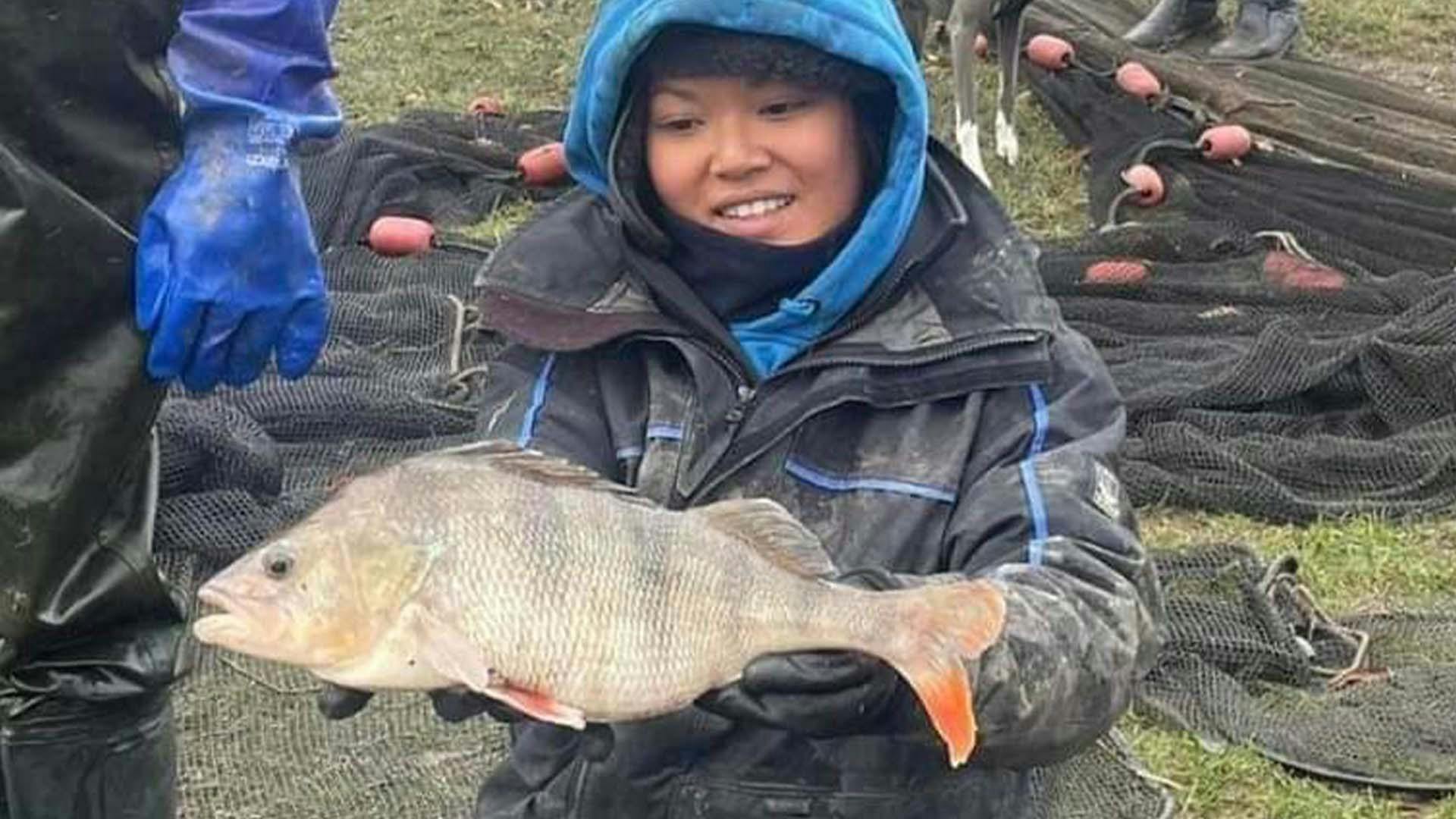 Huge perch and eels found during fishery netting | Angling Times