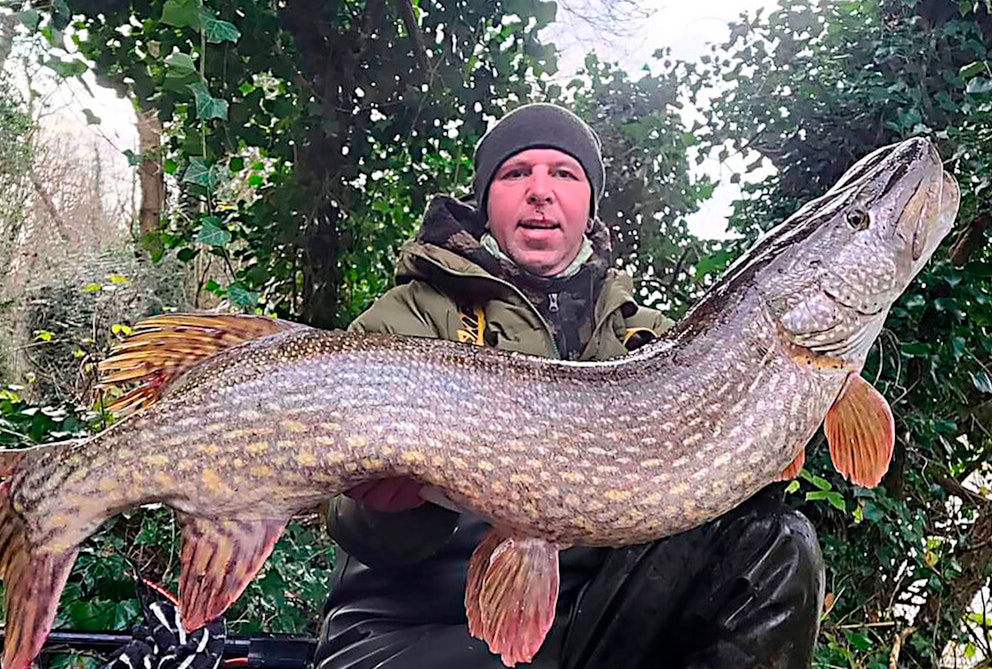 Why are so many big pike being caught this year? | Angling Times