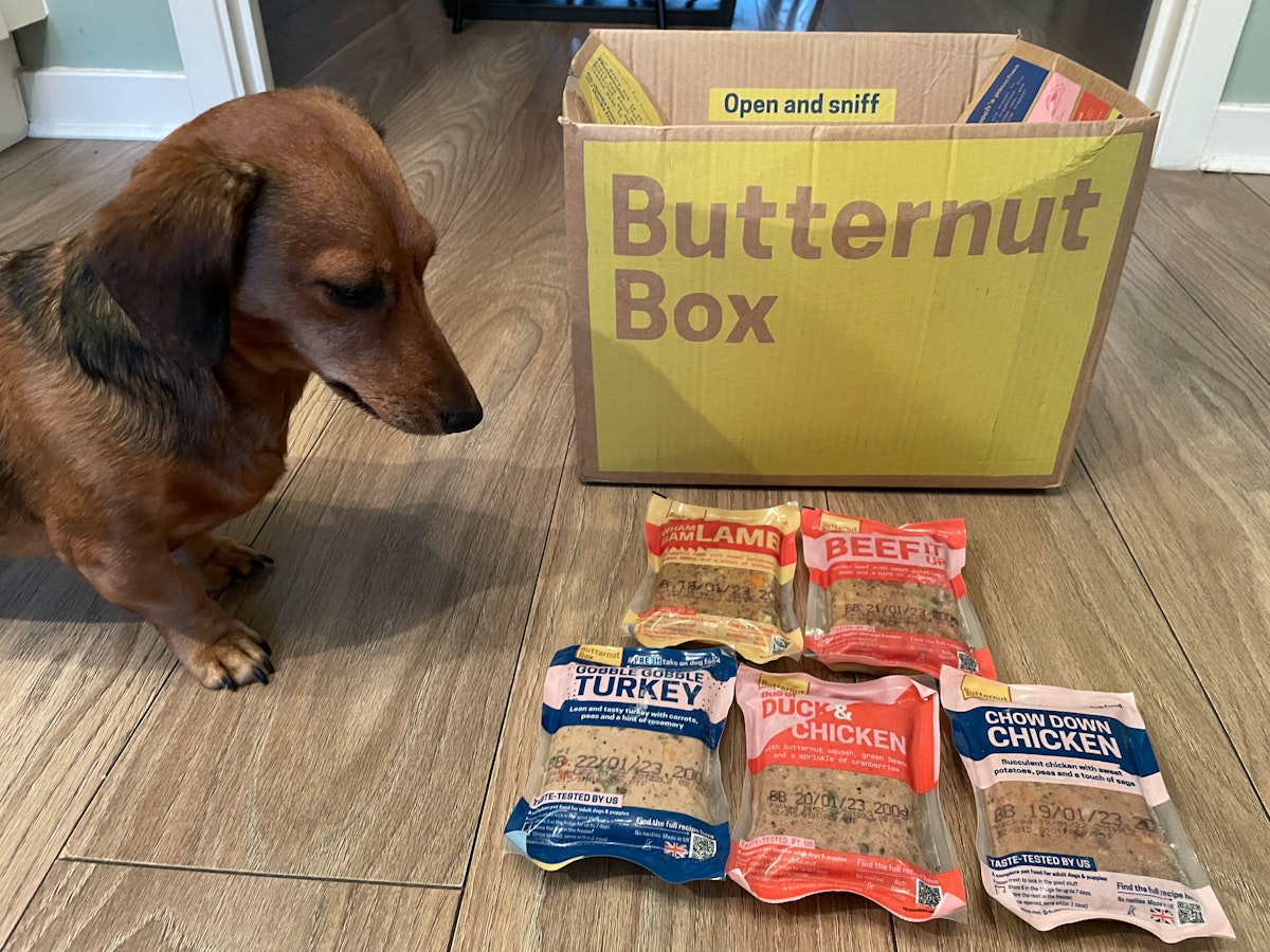Butternut Box review | Life | Yours
