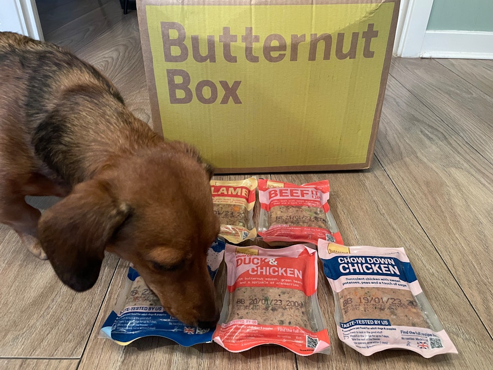 Butternut Box review