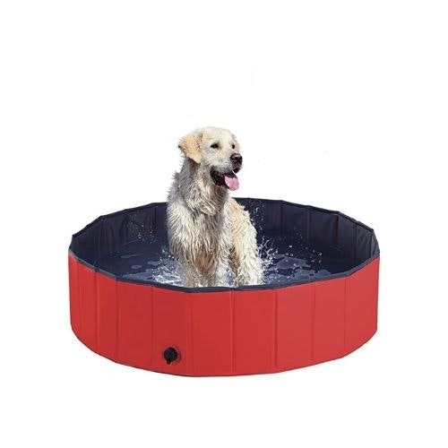 Best dog paddling pools to keep your pooch cool this summer | Life | Yours