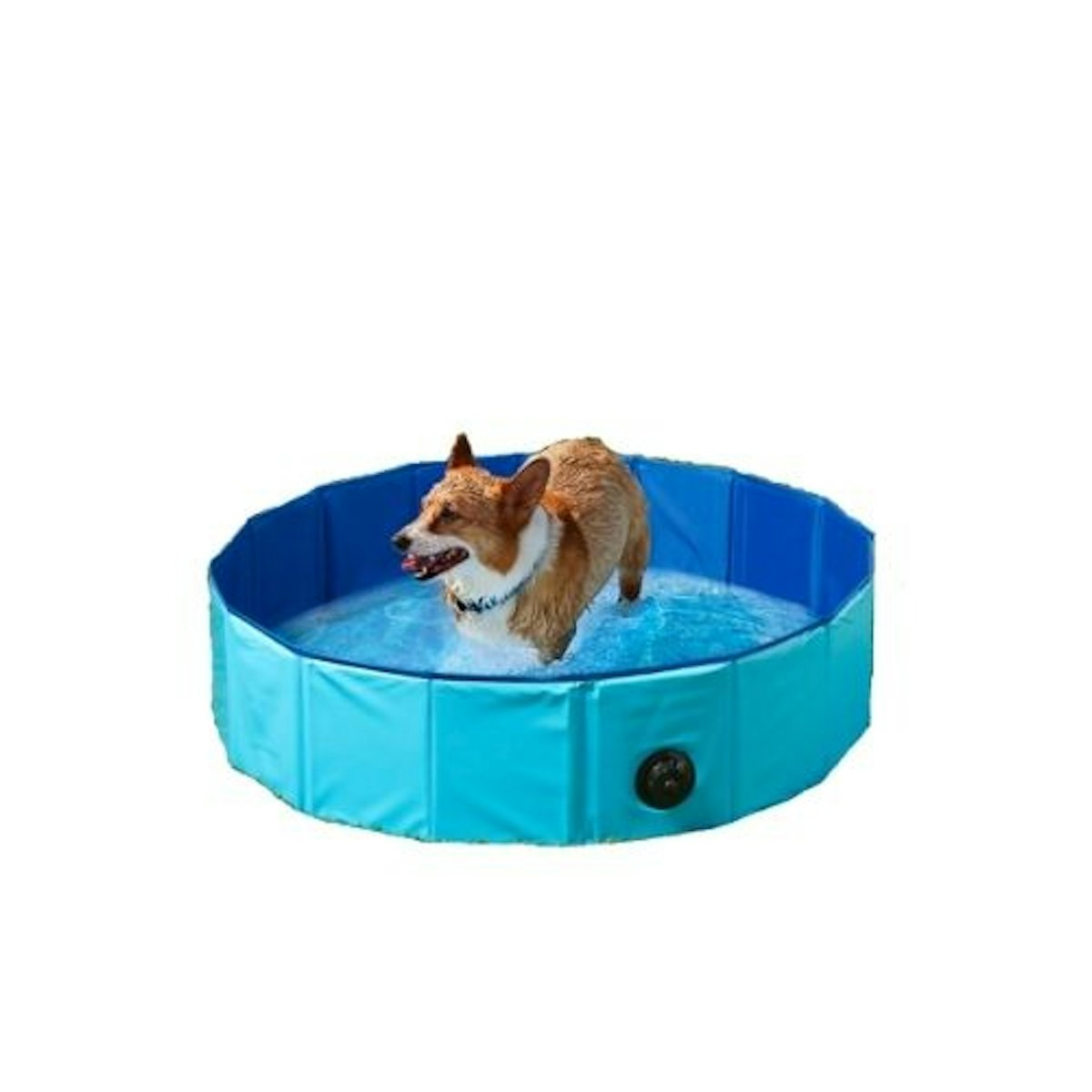 Best dog paddling pools for splashing and swimming