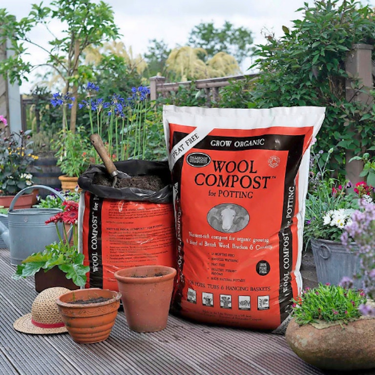 The best peat-free compost for eco-friendly gardening