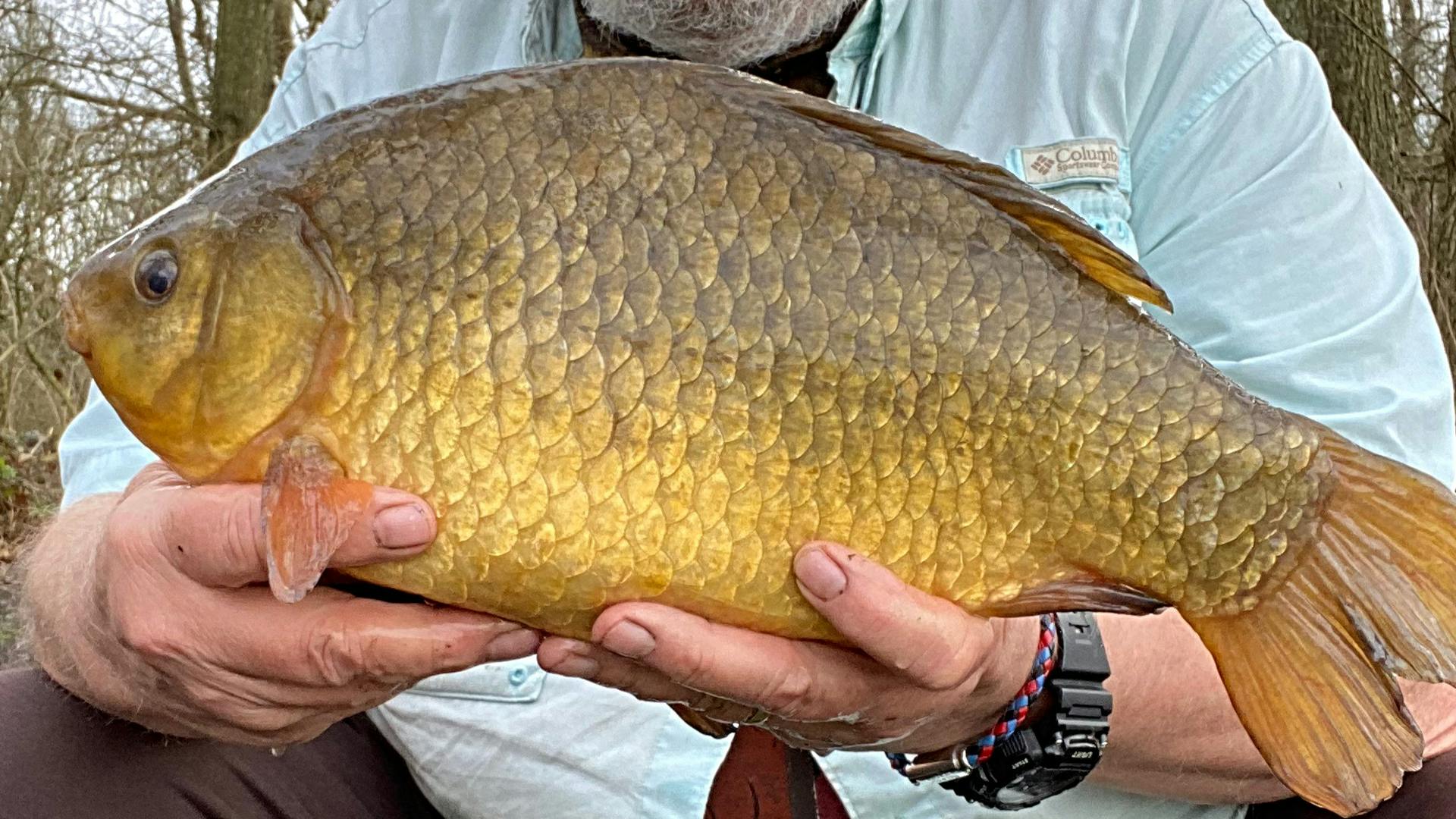 “Starting my ‘cruey’ campaign early resulted in three PBs!” – Mike ...