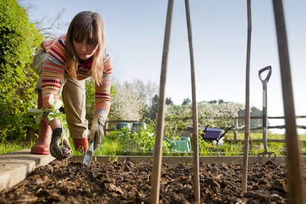 Allotment ideas for beginners | Life | Yours