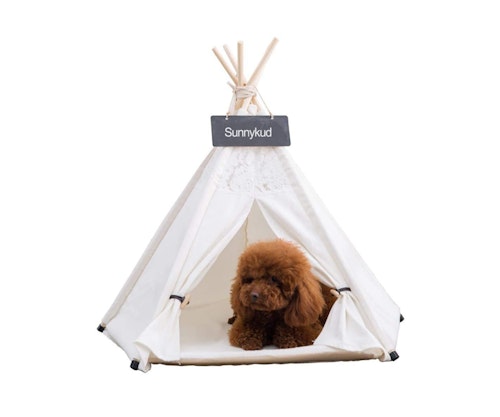 The best dog sun shade to help your pup cool off in the heat | Life | Yours