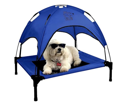 The best dog sun shade to help your pup cool off in the heat | Life | Yours