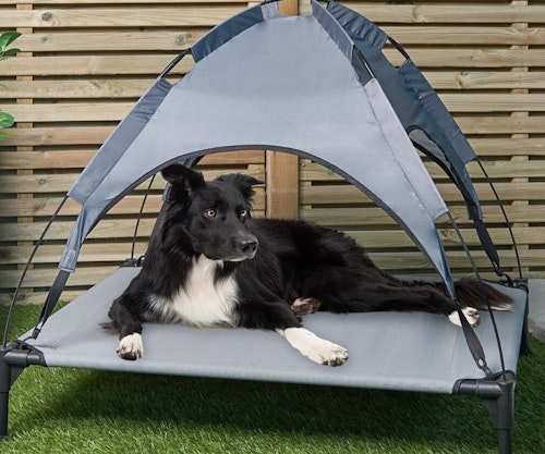 The best dog sun shade to help your pup cool off in the heat | Life | Yours