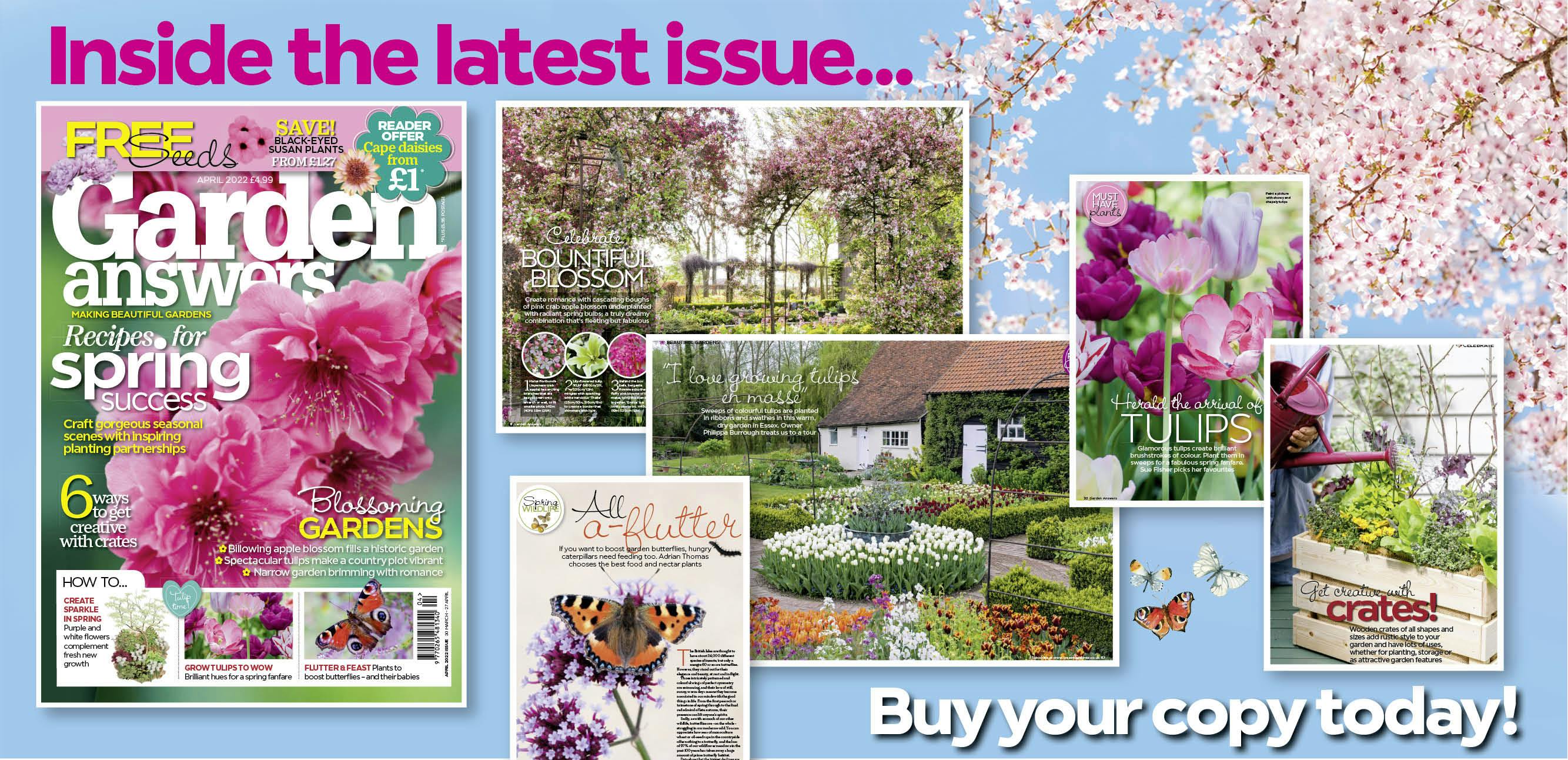 Latest Issue | Garden Answers Magazine | Garden Answers