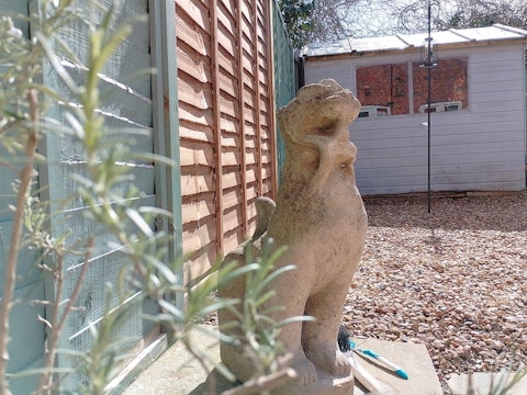 Budget that shows: Nokia G21 review