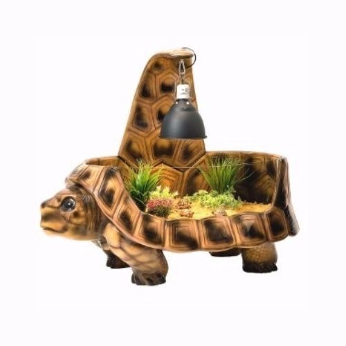 The best tortoise house to keep your little slowpoke snug | Pets | Take ...