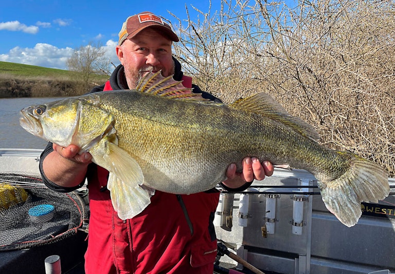 The biggest UK zander brace in history! | Angling Times