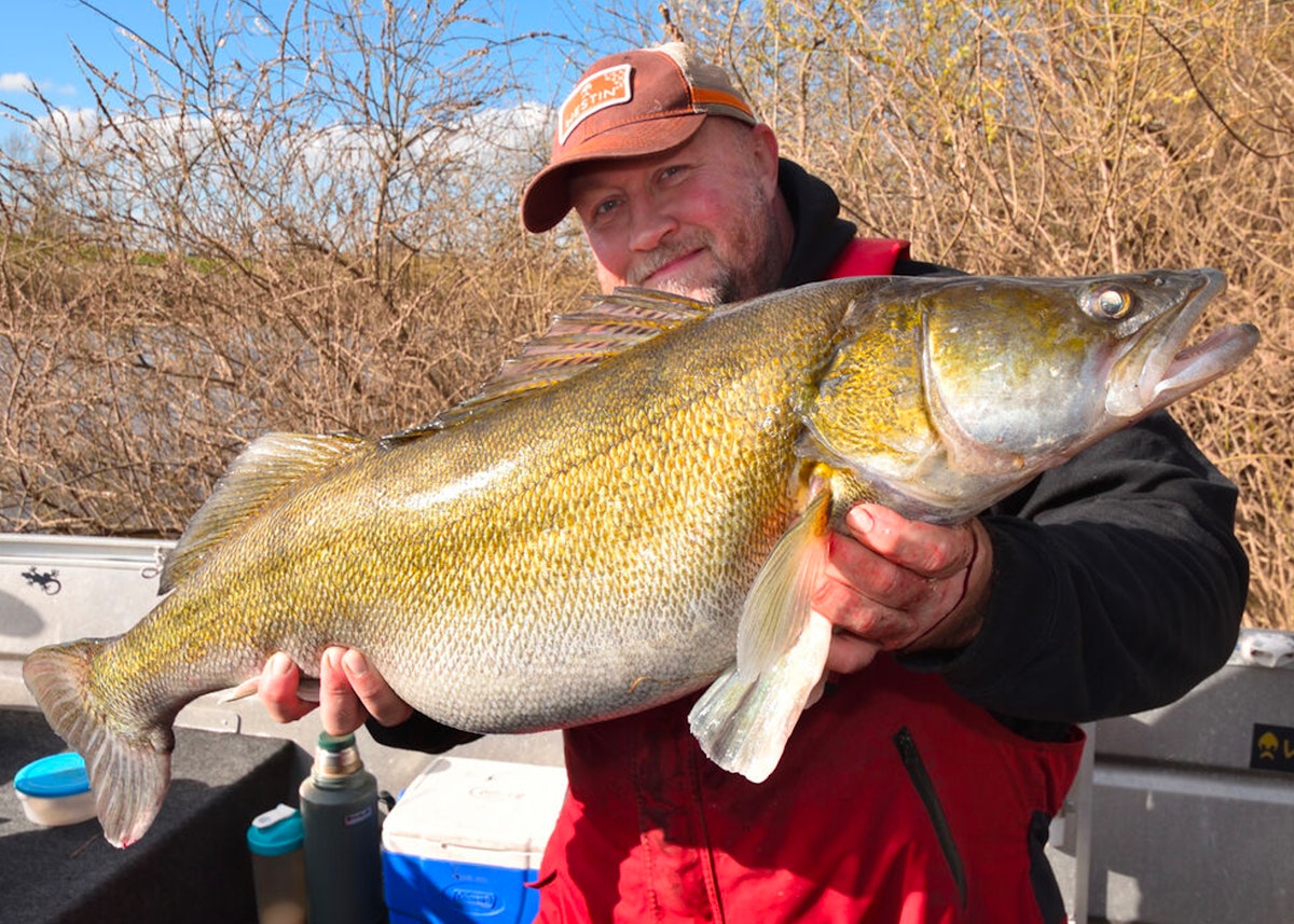 The biggest UK zander brace in history! | Angling Times