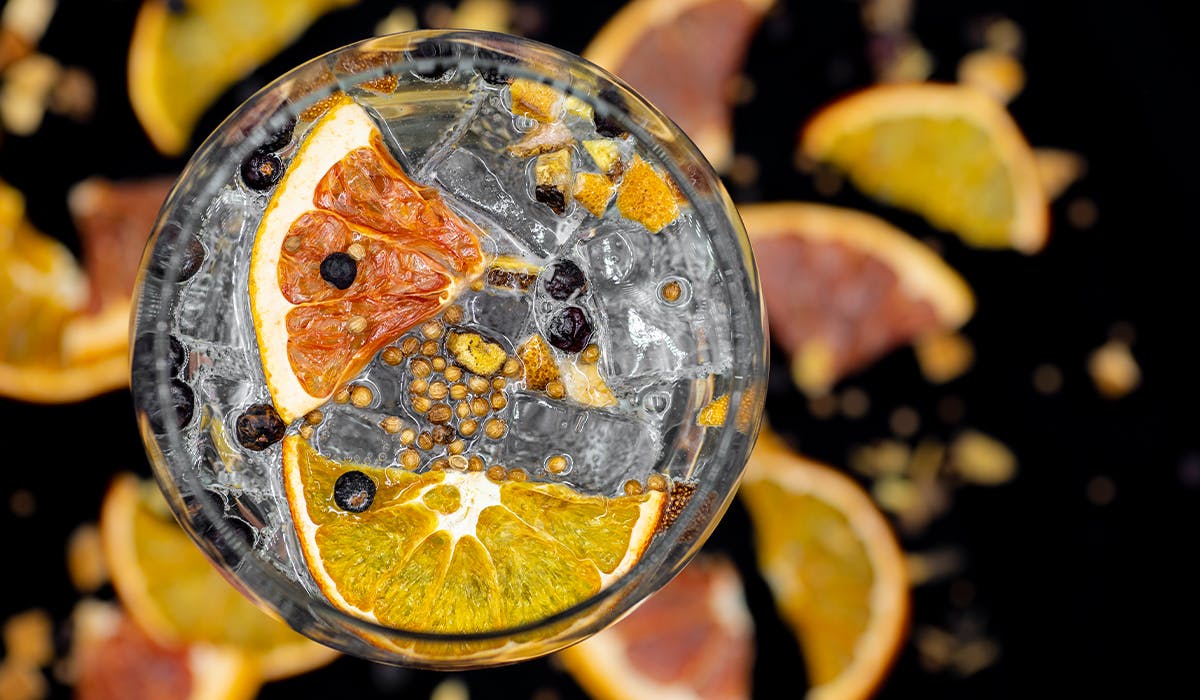 A guide to alcoholic and alcohol-free botanical drinks | Modern Gardens