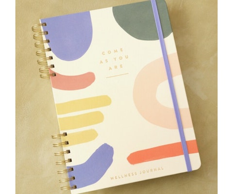 Best wellness journals