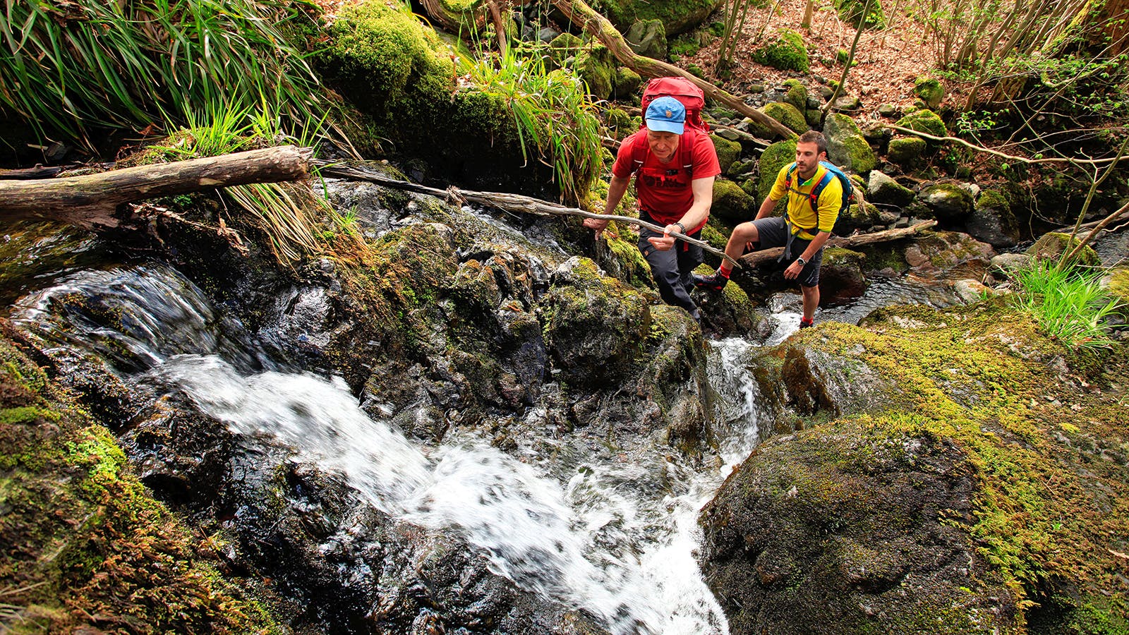 How to scramble Cat Gill, Lake District | LFTO