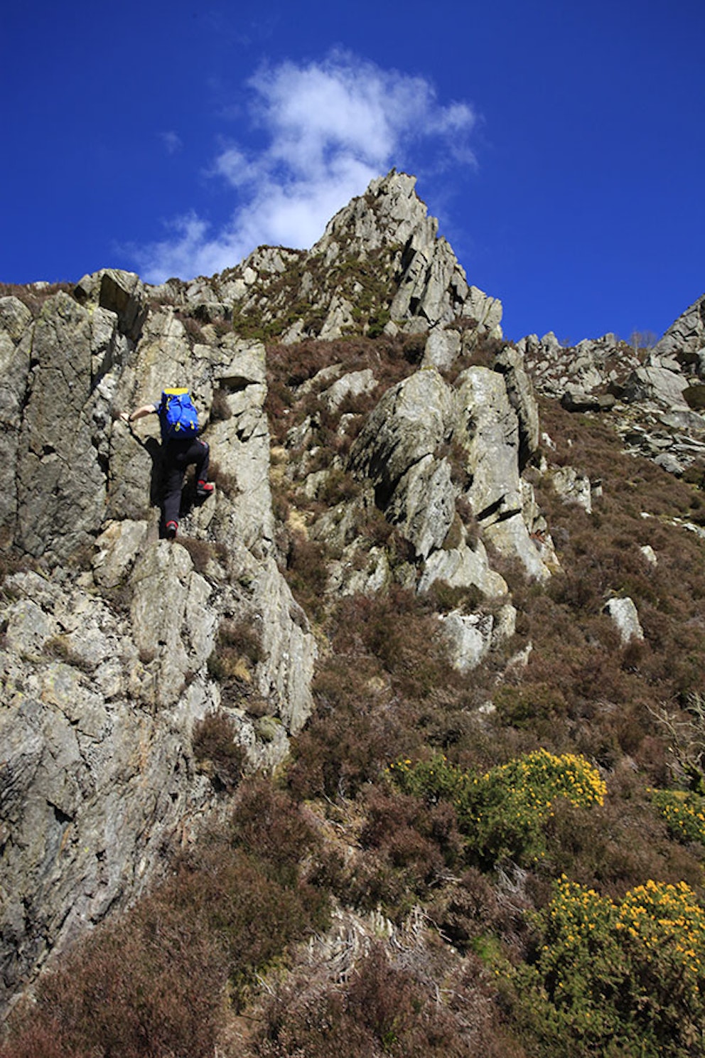 How to scramble Pinnacle Ridge, Pen yr Ole Wen | LFTO