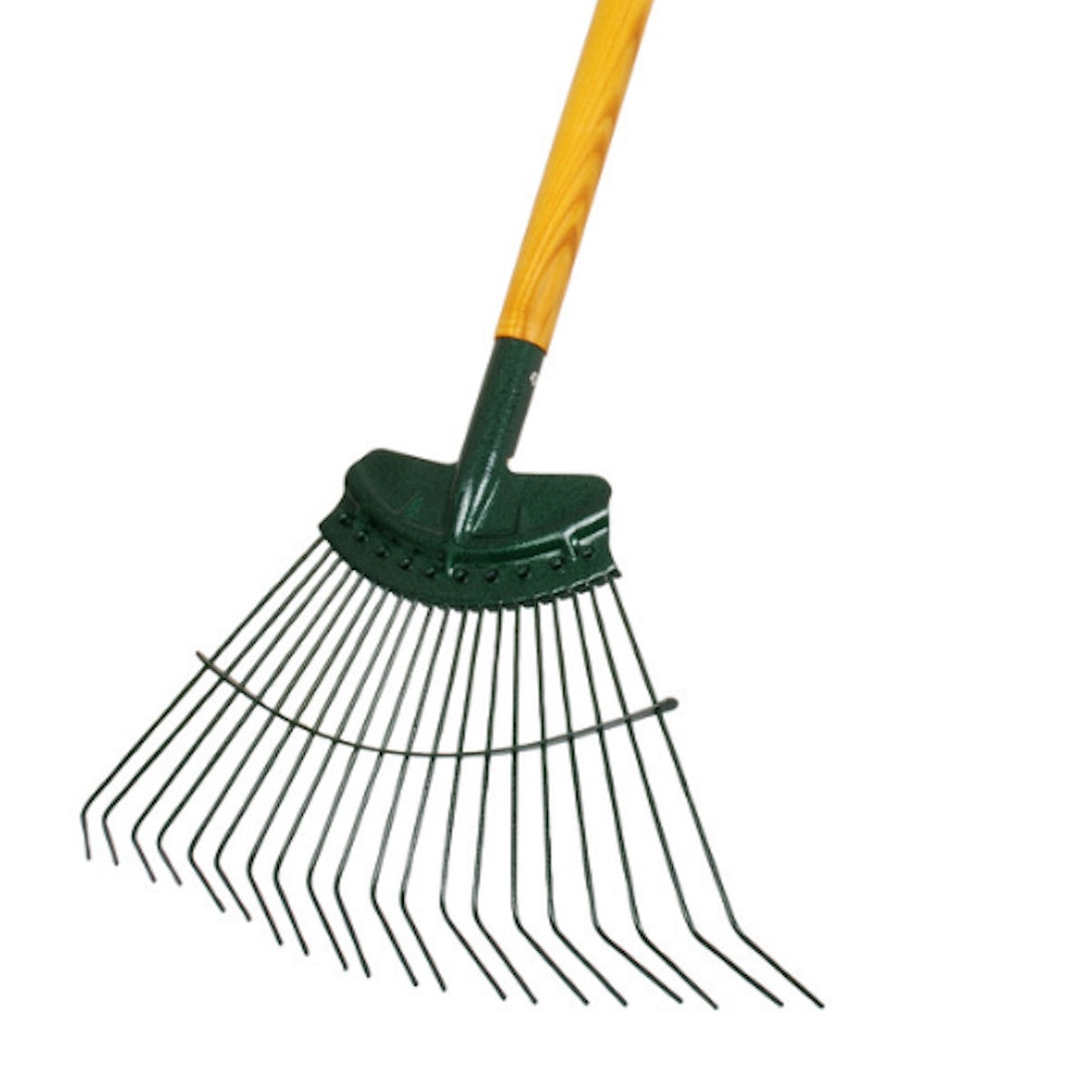 How to have a perfect lawn in 7 easy steps