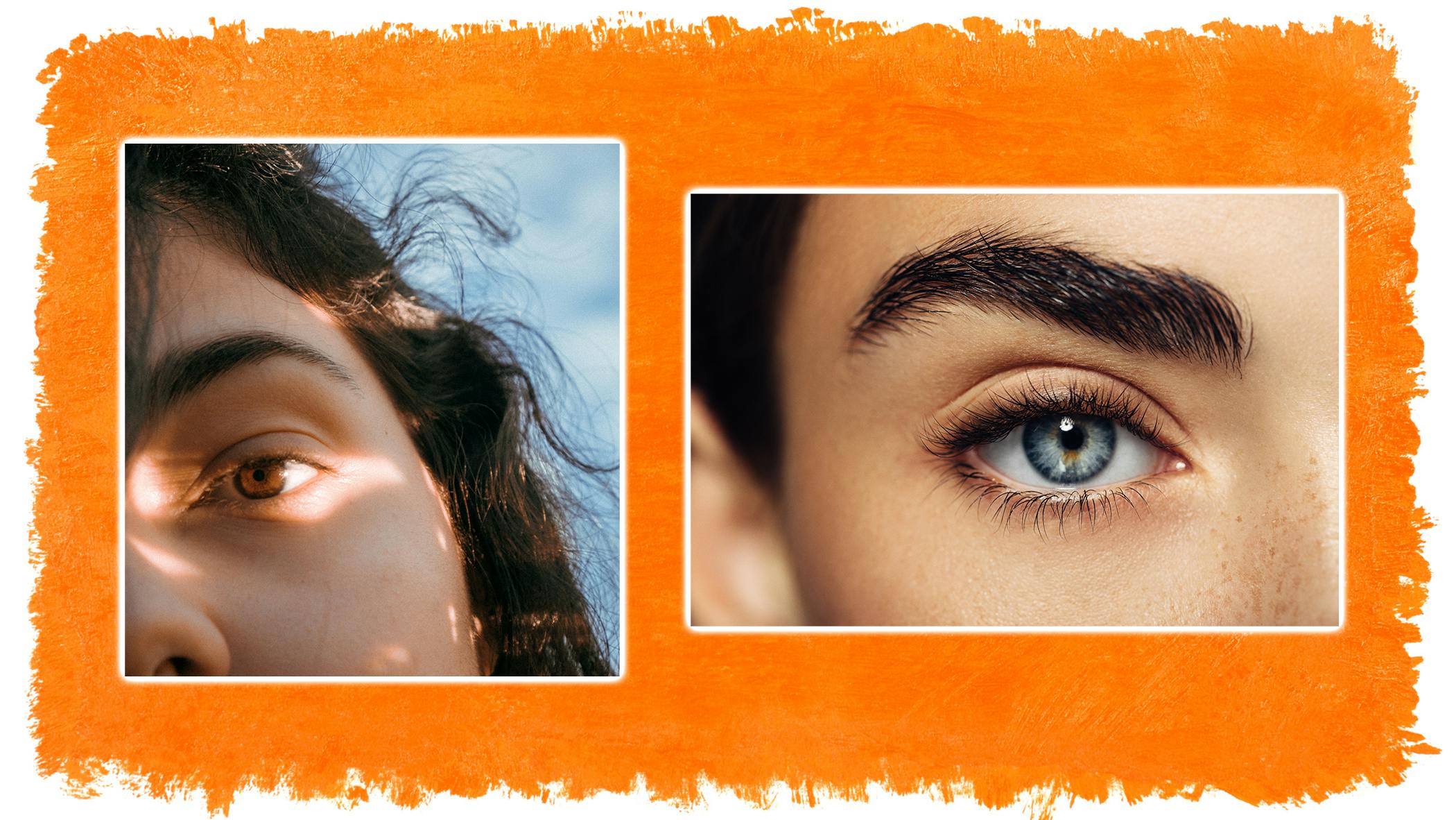 How to ACTUALLY get thicker eyebrows