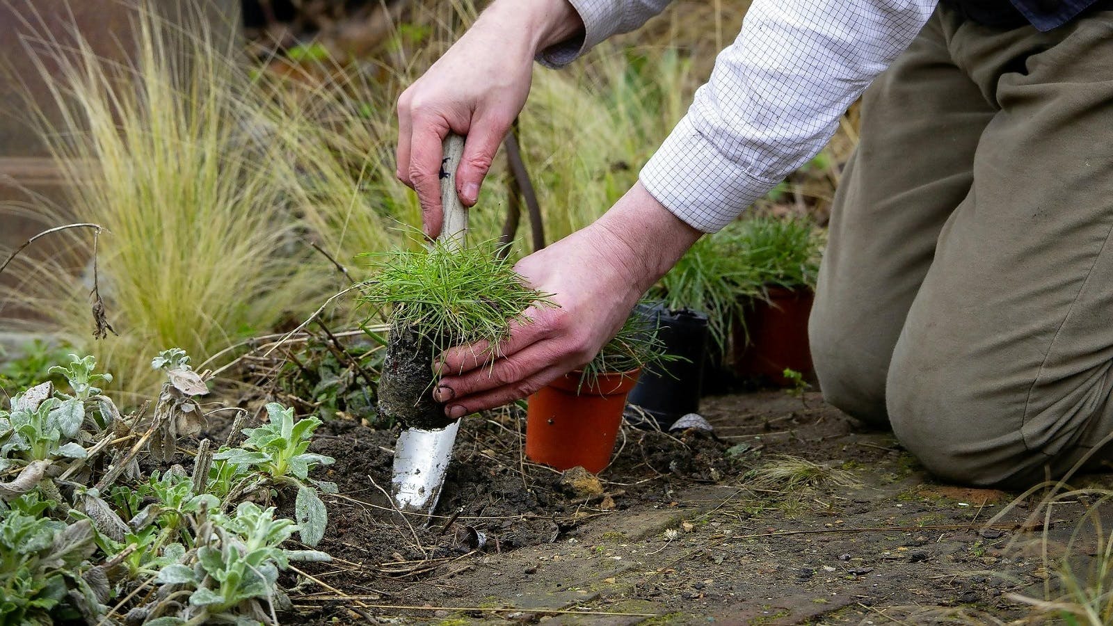 Plant Up Path Edges | %%channel_name%%