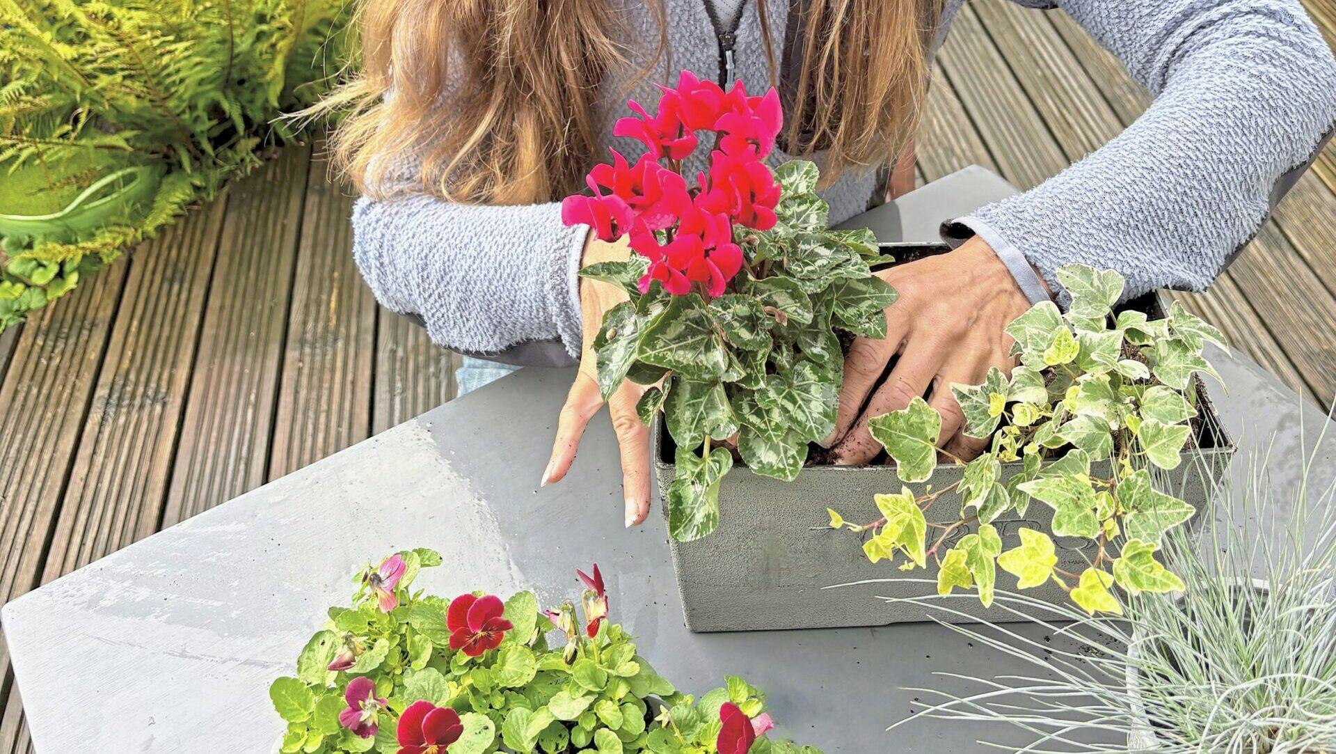 Refresh pots for autumn | %%channel_name%%