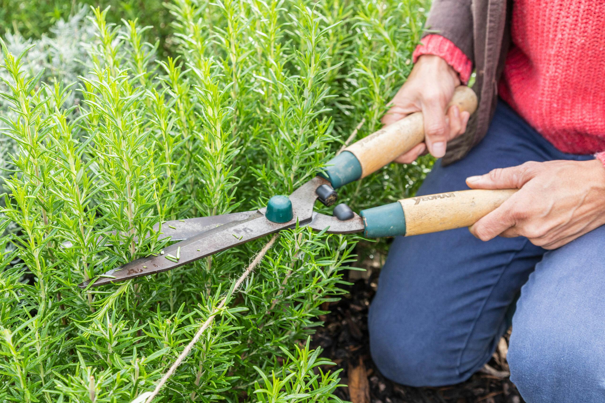 Top 10 common gardening mistakes and how to avoid them | %%channel_name%%