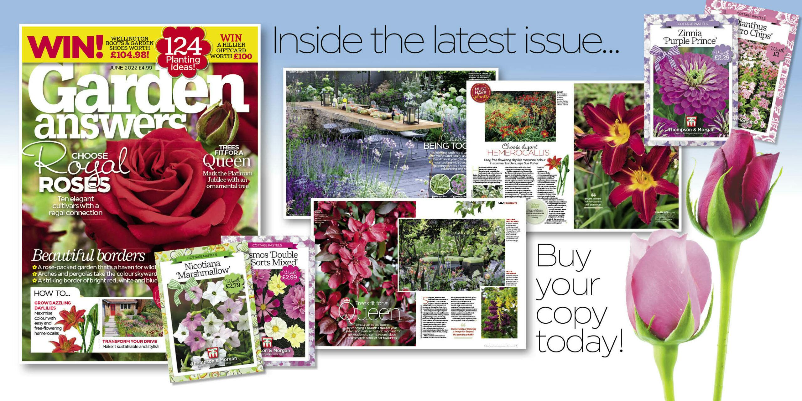 Latest Issue | Magazine | Garden Answers