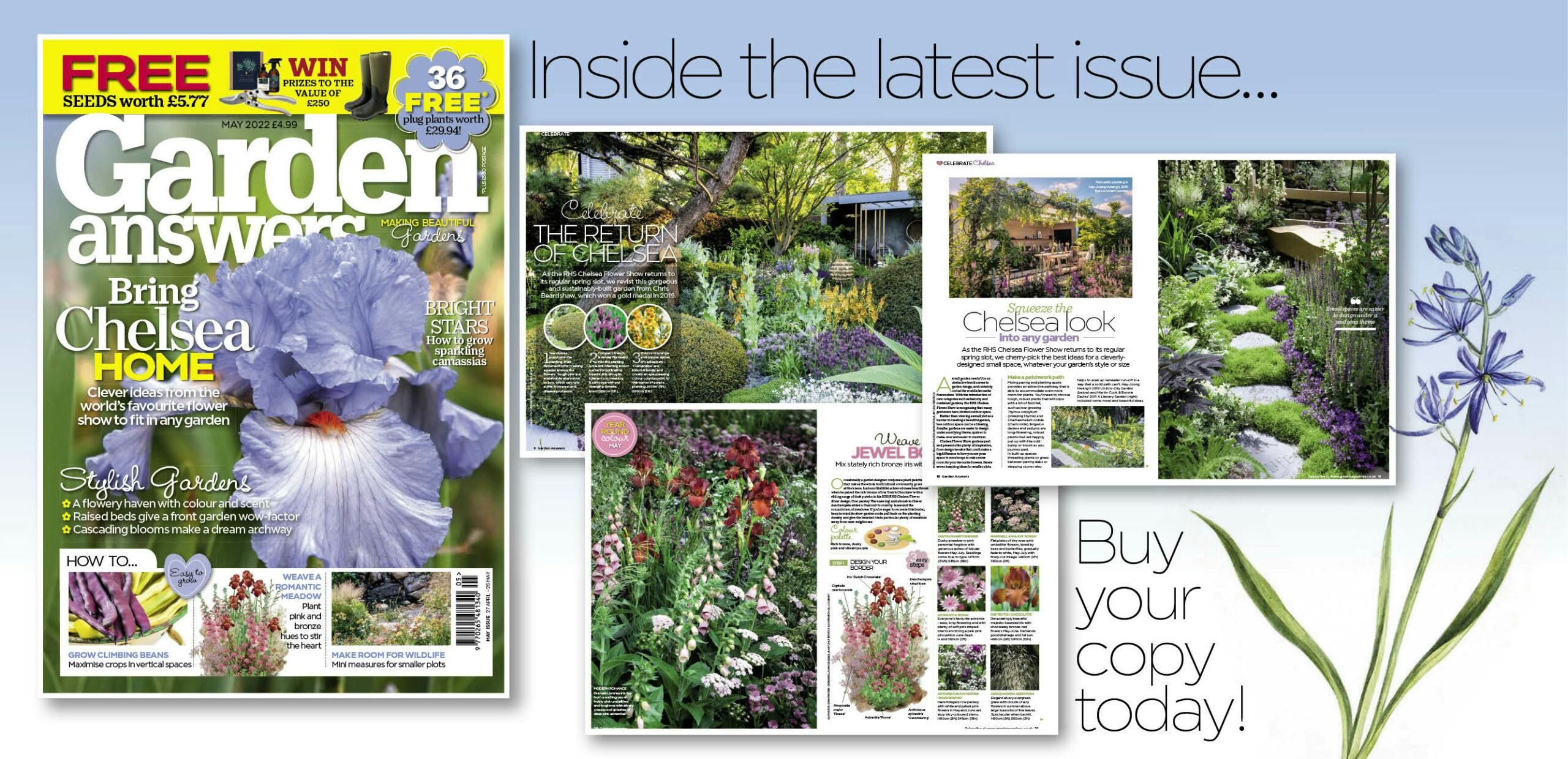 Latest Issue | Magazine | Garden Answers