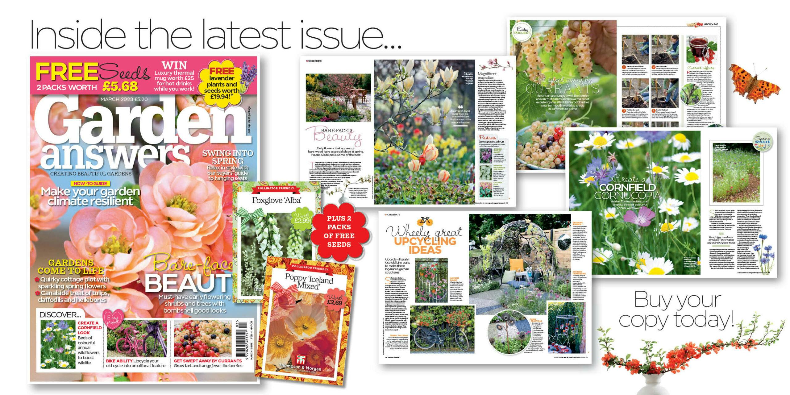 Latest Issue | Garden Answers Magazine | Garden Answers