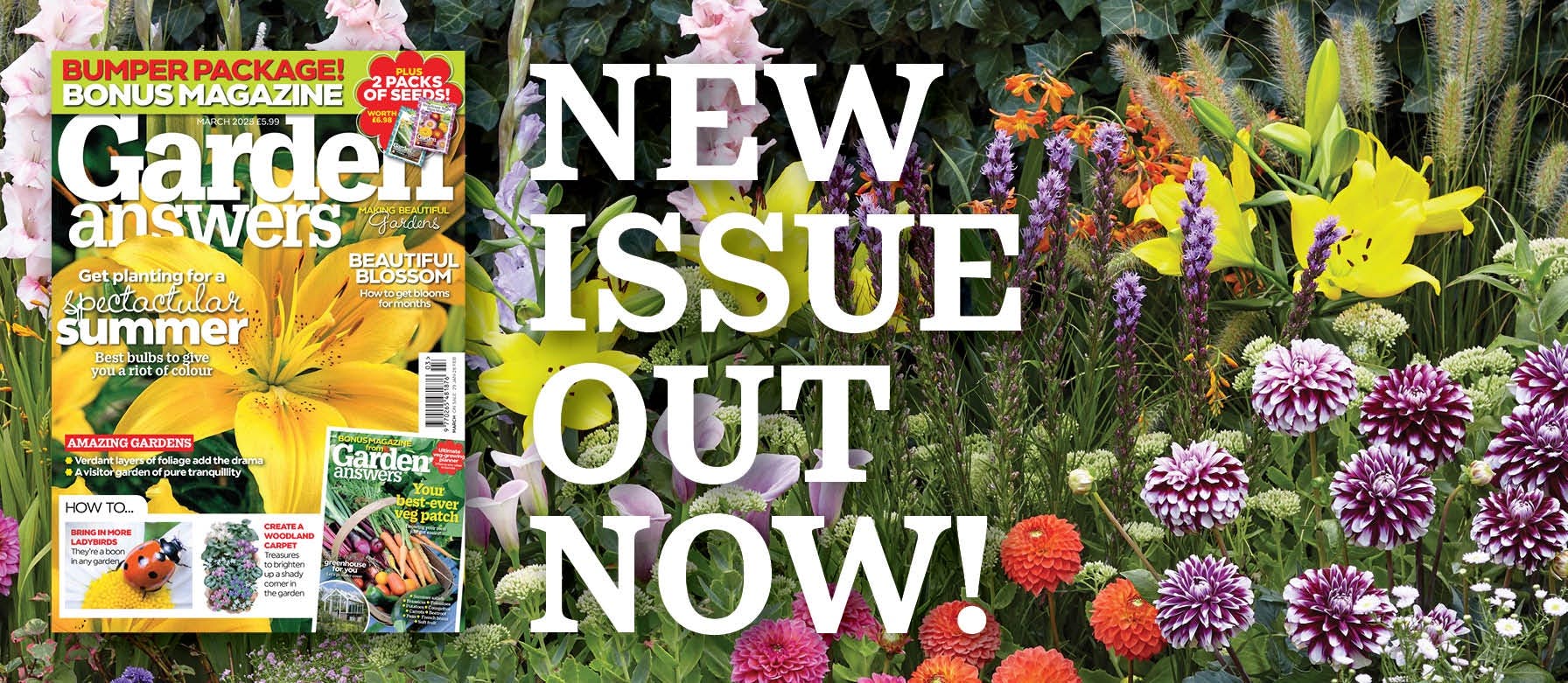 March 2025 Issue – out now! | Garden Answers