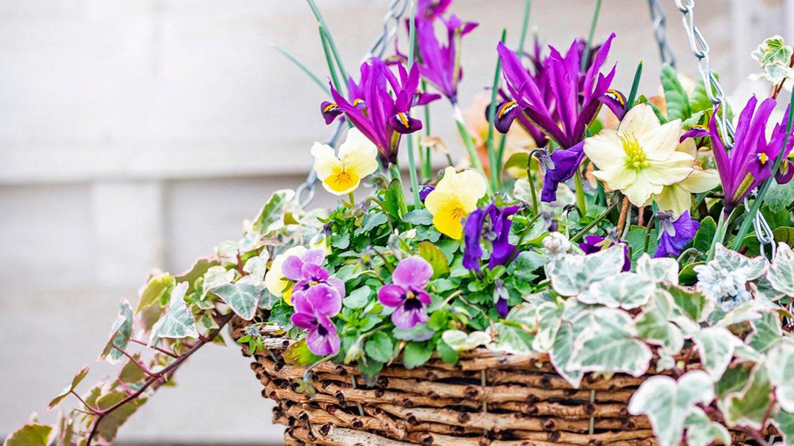Winter flower baskets store