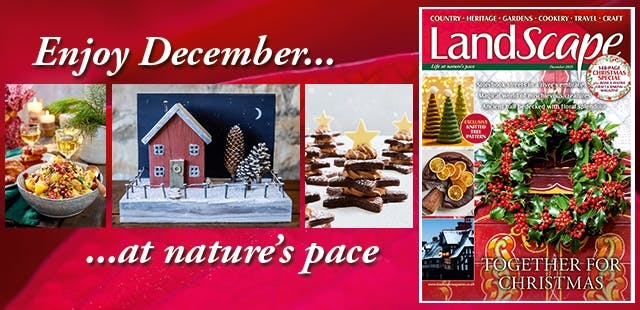 Latest Issues | Magazine | Landscape