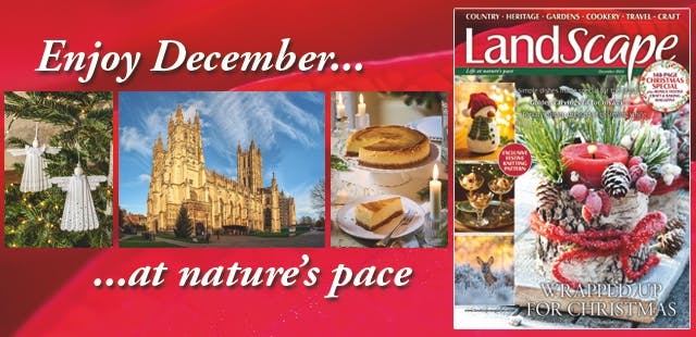 Latest Issues | Magazine | Landscape
