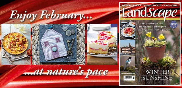 Latest Issues | Magazine | Landscape