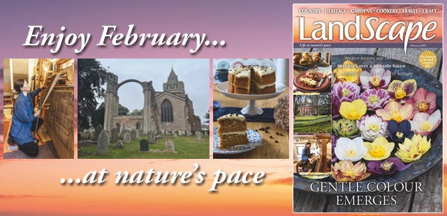 Welcome to LandScape | %%channel_name%%